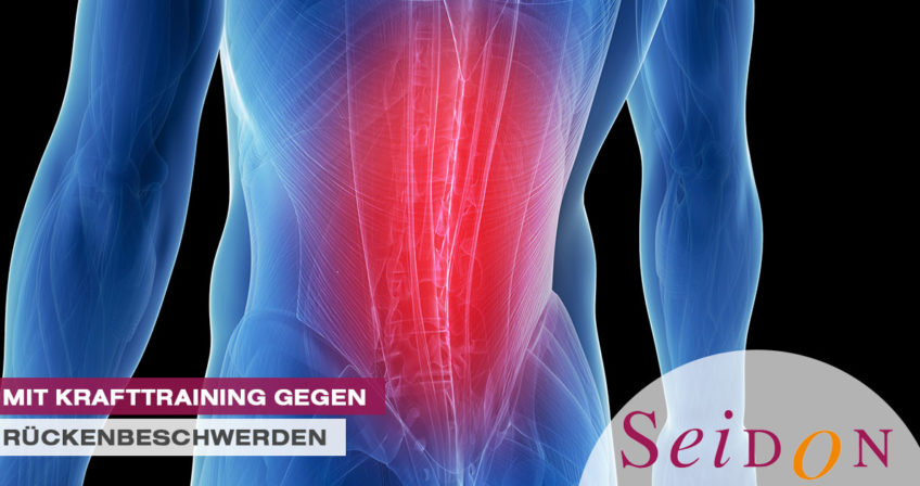 Seidon. Fitness und Gesundheit in Flensburg